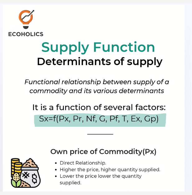Microeconomics Infographics - Ecoholics